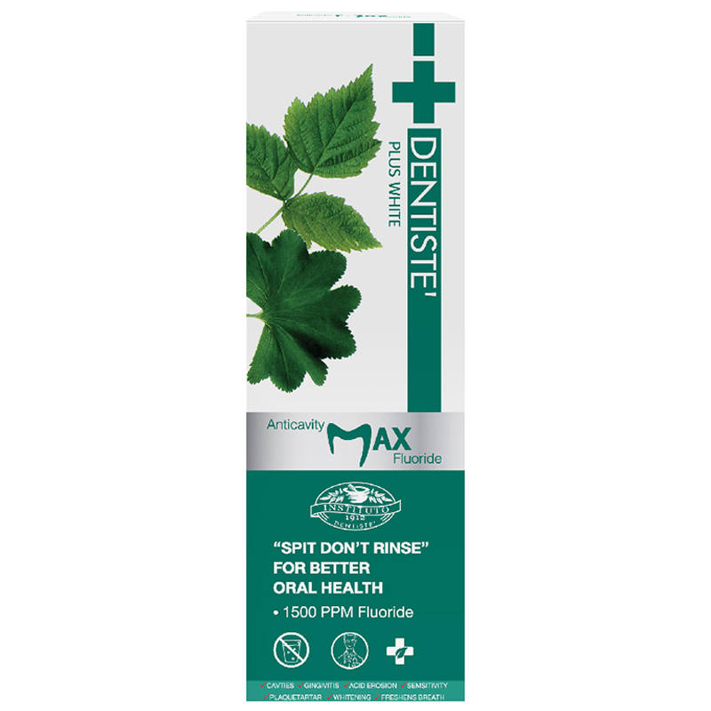 Dentiste Anticavity Max Fluoride Toothpaste 100g – BOONCHOO.com